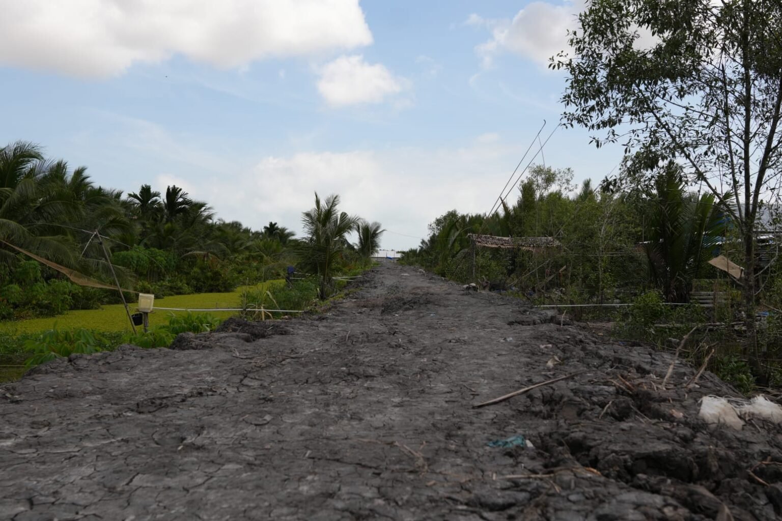 Wujud Nyata CSR, PT Pulau Sambu di Guntung Perkuat Ketahanan Lingkungan ...